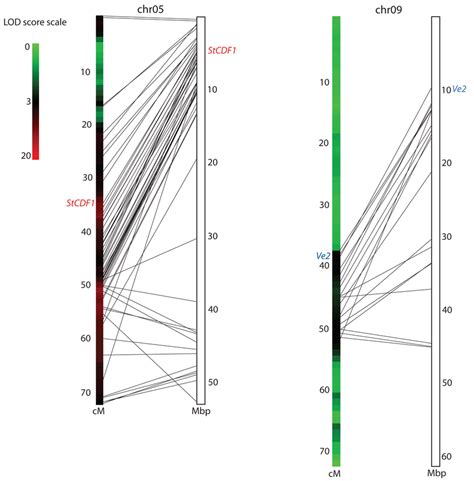 Genetic And Physical Maps Of Quantitative Trait Loci Qtl For Disease Download Scientific