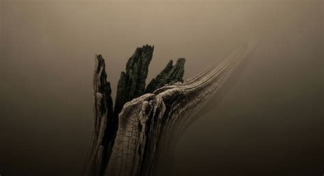 Systemic Barriers → Term