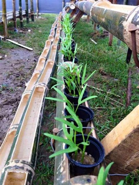 คัดมาให้ดู 100 ไอเดียแปลงปลูกผักสวนครัว สวยๆ แบบประหยัดพื้นที่ แบบเกษตรพอเพียง Jardín De