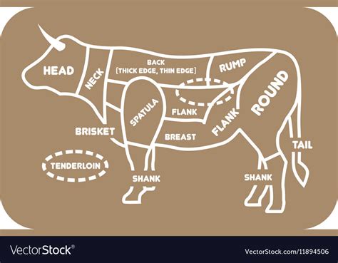 Beef Cuts Chart Cow Royalty Free Vector Image Vectorstock