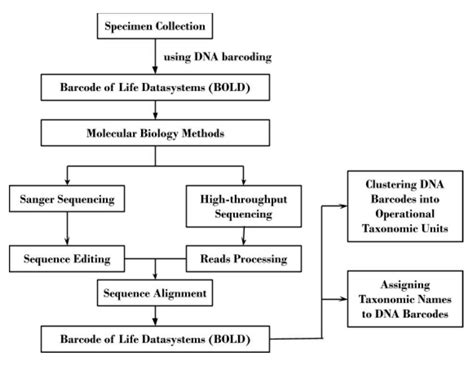 The Dna Barcoding Workflow Based On Wilson Et Al [6]