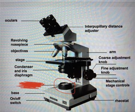 Microscope Coarse Adjustment