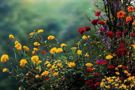 Comparing Stable Diffusion Image To Image Models