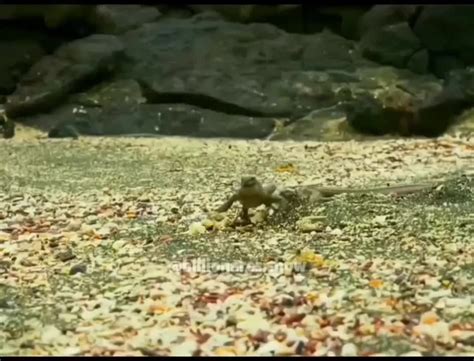 Shubham Kelhe On Linkedin Motivation Sundayinspiration