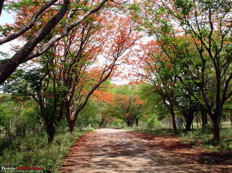 Day Trip Bangalore Mekedatu Bangalore Team Bhp
