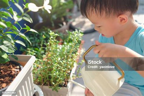귀여운 행복 한 작은 아시아 34 세 유아 소년 아이 물 수 있는 식물에 집에서 아침에 교육에 대한 스톡 사진 및 기타 이미지 교육 아침 2 3 살 Istock