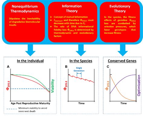 The Proposed Connection Between Thermodynamics Information And
