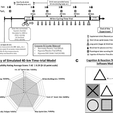 The Performance Of Simple Cognitive Task Test A Reaction Speed For
