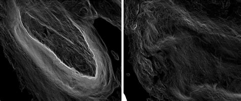 Raster Analysis With Qgis • Gispo
