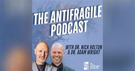 What Is Antifragility Core Definition And A Helpful Framework The Antifragile Podcast