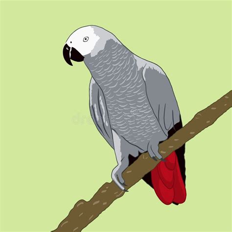 Colorful Parrot Cute Bird In Artistic Style Stock Vector Illustration Of Educational Amusing