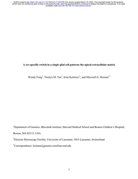 Pdf A Sex Specific Switch In A Single Glial Cell Patterns The Apical