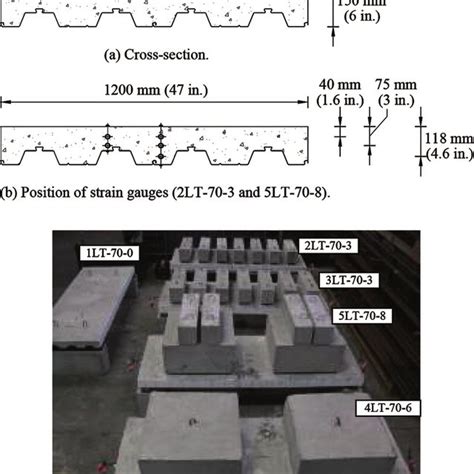 Concrete Properties Slab Type F C ′ Mpa Psi E C Mpa Ksi F Ctf Download Table