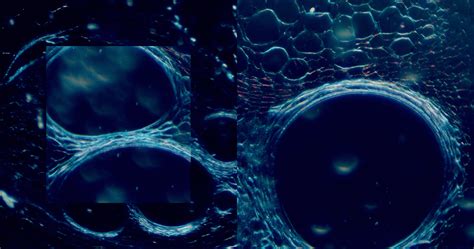 Lg X Fosters And Partners On Behance