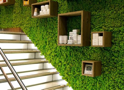 Going Natural With Moss Walls In Commercial Interior Design Mindful Design Consulting