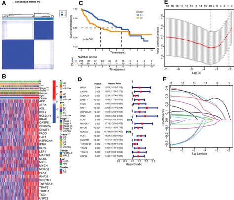 Identification And Validation Of The Necroptosis Related Gene Signature Related To Prognosis And