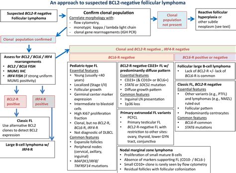Navigating The Heterogeneity Of Follicular Lymphoma And Its Many Variants Surgical Pathology
