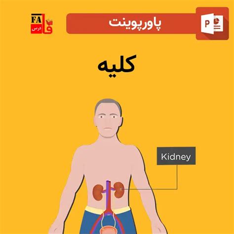 قالب پاورپوینت رایگان روانشناسی قابل ویرایش فروشگاه پاورپوینت فارسی درس