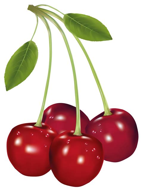 Sour Cherry Png Clip Art Best Web Clipart