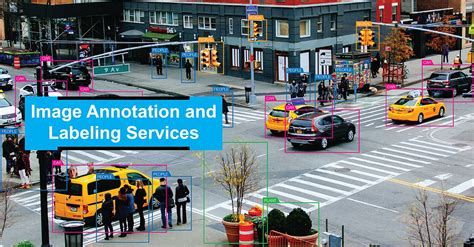 Datalabels Computervision Imageannotation Habiledata