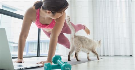 젊은 아시아의 아름다운 여성은 고양이와 함께 집에서 피트니스를 훈련하고 노트북에서 온라인 튜토리얼 연습 훈련 피트니스 워크숍을 시청합니다 사진 Unsplash의 운동실 이미지