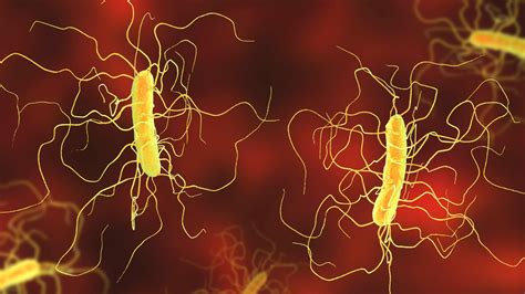 Methane Consuming Bacteria Brews Biodegradable Plastic At High Speed