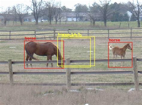 One Stage Object Detection