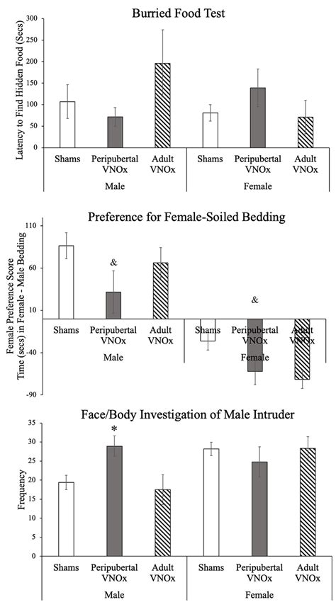 Olfactory Tests Mean ± Sem Groups Did Not Differ On The Buried Food Download Scientific