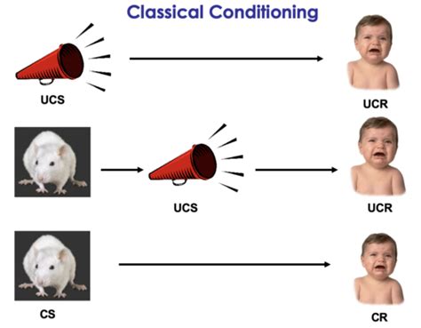 Behavioural Treatments Flashcards Quizlet