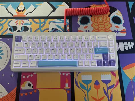 Thought This Looked Chill Would Be Cooler If The Hornets Didnt Suk