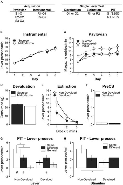 Experiment 2 Tested The Effect Of Outcome Devaluation By Download Scientific Diagram