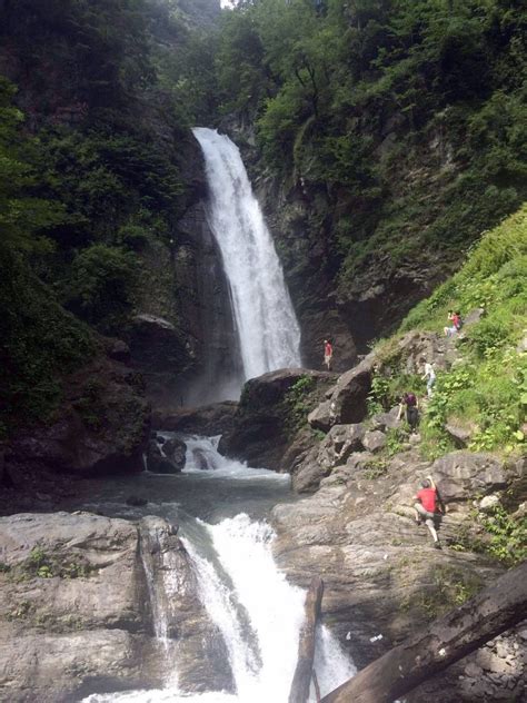 ლაგოდეხის დაცული ტერიტორიები კახეთი 0 Gel კავკასუს ფერედაისი