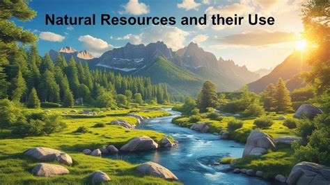 Natural Resources One Point Learning