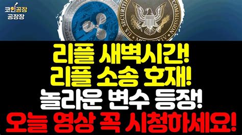 리플 새벽시간리플 소송 호재놀라운 변수 등장오늘 영상 꼭 시청하세요 Youtube