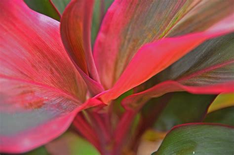 빨간색 무지개 화려한 Pixabay의 무료 사진 Pixabay