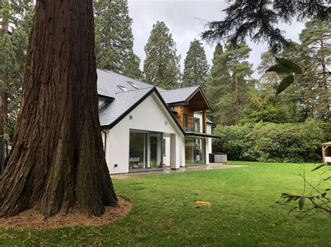 Pin By Fiona Okane On Cladding Cladding Plants Tree