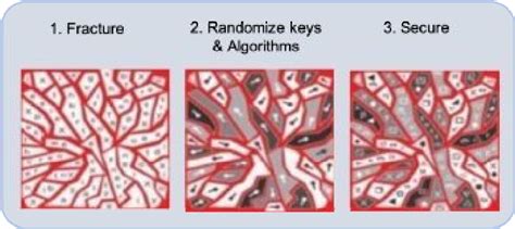 Figure 1 From Dynamic Key Generation For Polymorphic Encryption