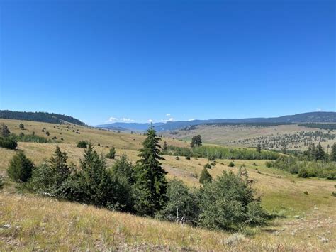 Beavers Bumblebees And Bunchgrass An Adventure In The Bunchgrass