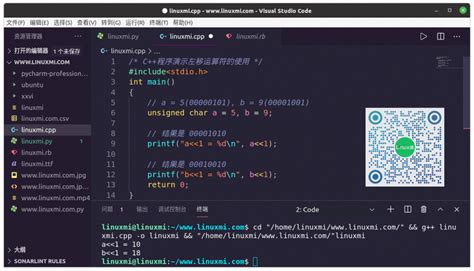 Cc中的左移和右移运算符 Linux迷
