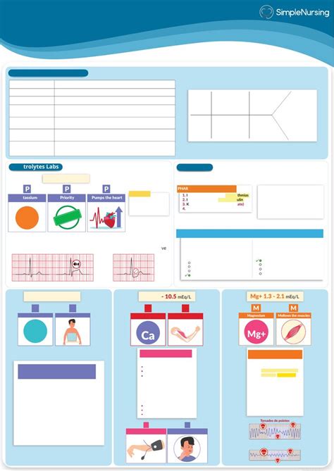 Bmp Electrolyte Panel