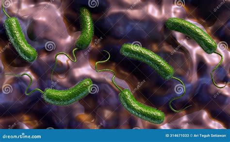 3d Rendering Of Septicemia Or Sepsis By Streptococcus Pyogenes Stock