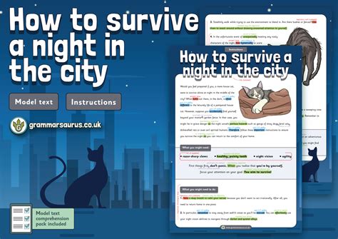 Year 4 Model Text Instructions How To Survive A Night In The City Grammarsaurus