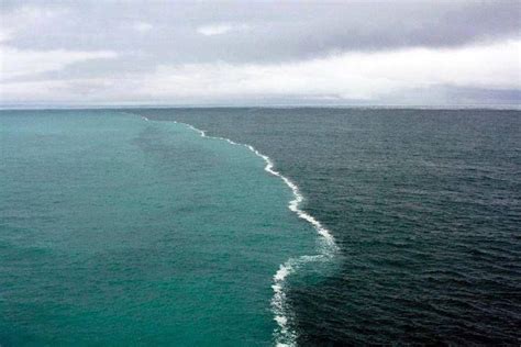 The Gulf Of Alaska All Amazing Places Where Two Seas Meet But Never