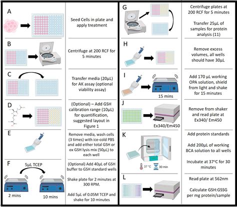 Rapid Quantification Of Oxidized And Reduced Forms Of Glutathione Using Ortho Phthalaldehyde In