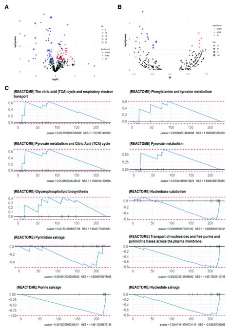 Differential Metabolite Analysis And Msea A Volcano Plot Of