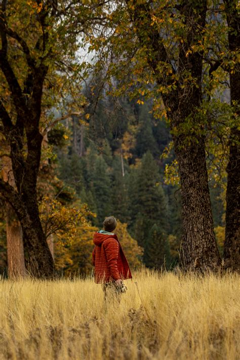 Asshangingoutofshorts Photos Download The Best Free Asshanging