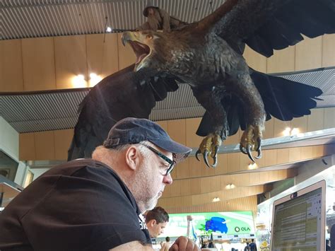 Devops Talks Plus On Linkedin Devops Dotc Dotcnz