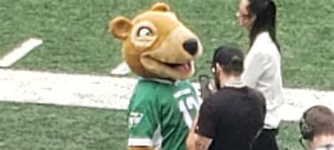 Riders Discipline Gainer The Gopher By Taking Away Stuffed Lion