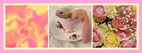 Rottmnt X Sibling Reader On Tumblr