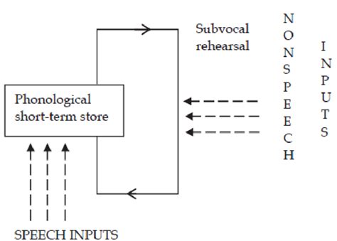 The Phonological Loop Model Gathercole And Baddeley 1993 P 8